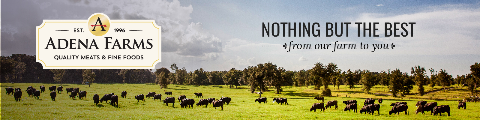 Projects – www.franksprojects.com